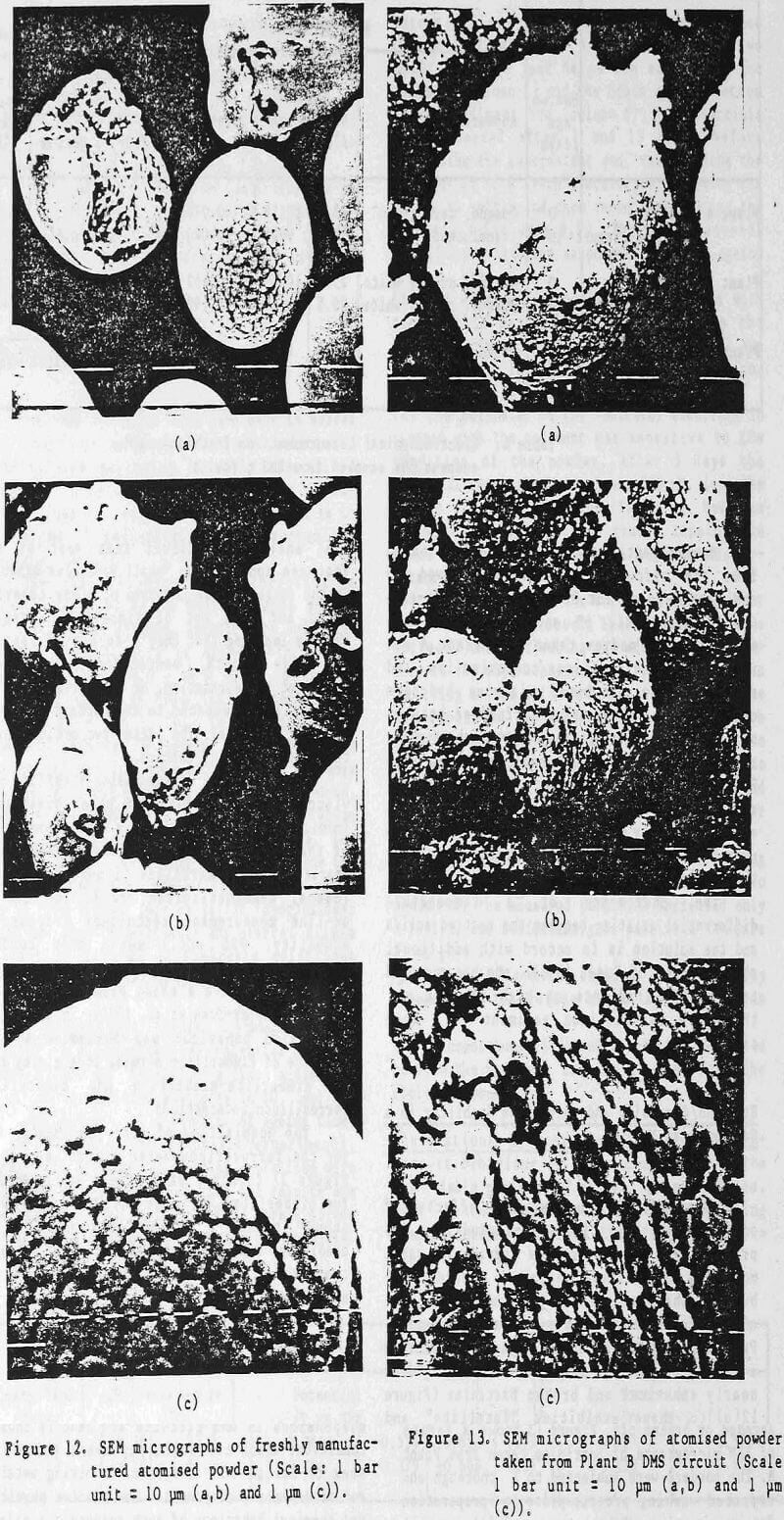 Ferrosilicon Suspension in Dense Medium Separation Process